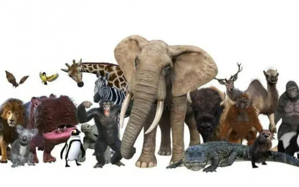 Fact: There are over 2 million animal species in the world but only 1 ...