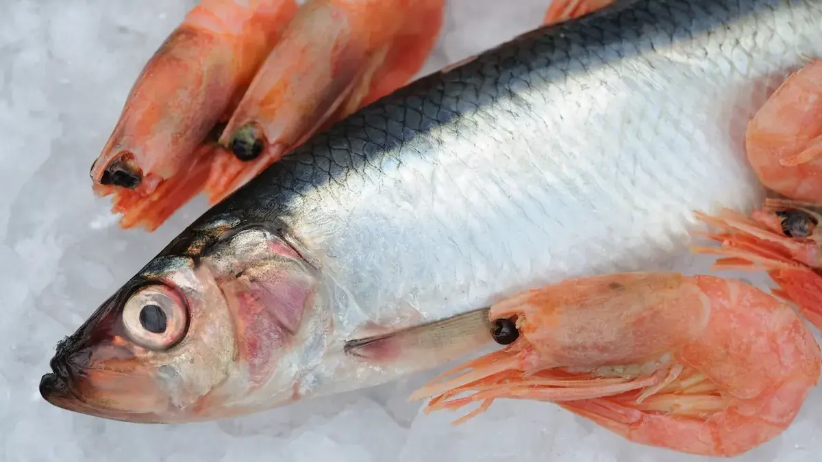 Seafood Contaminated: 180 of 182 Samples Contain Microplastics—What It ...