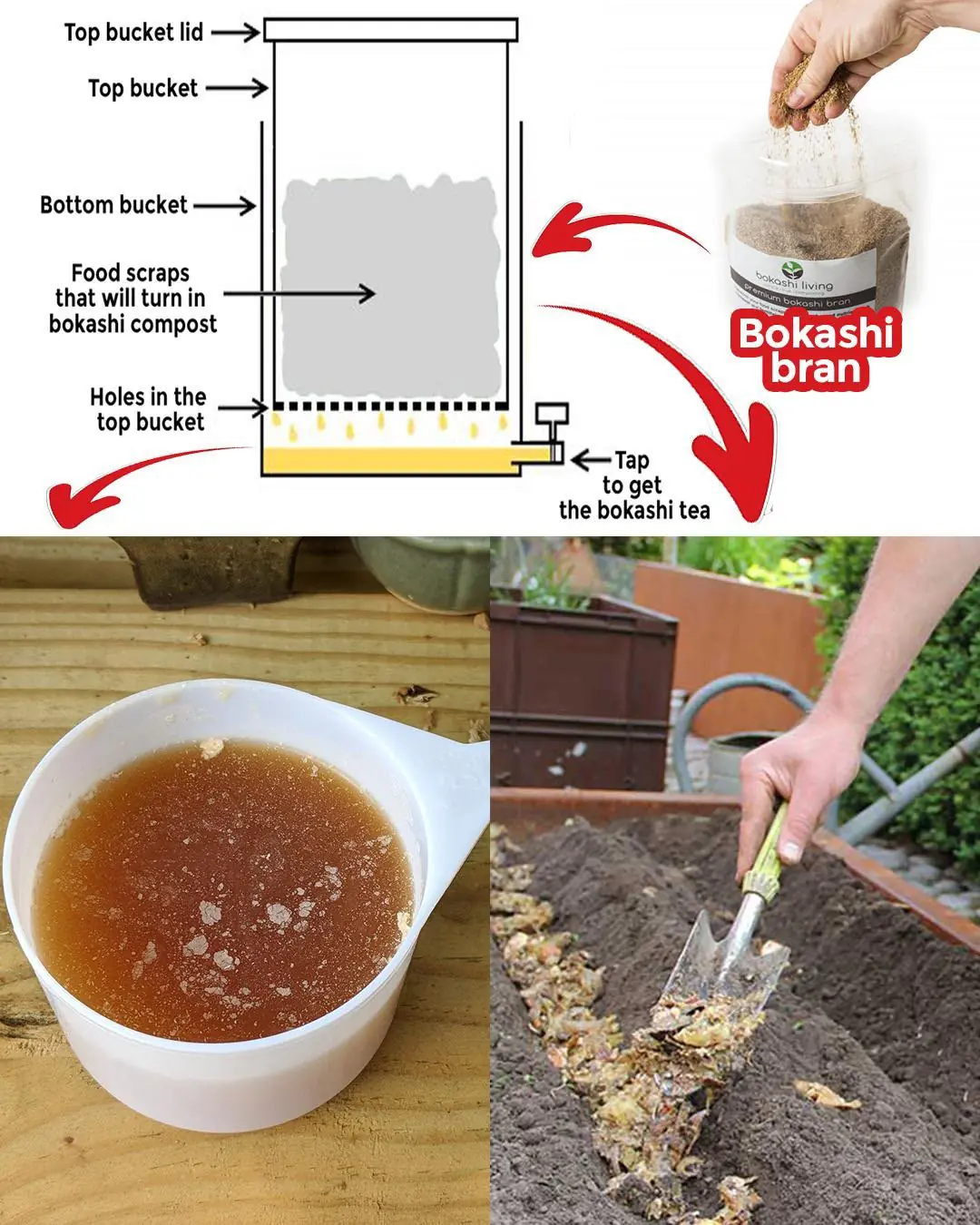 All About Bokashi Composting (Quick Guide)