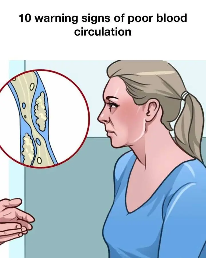 7 signs Of Poor Circulation And How to Improve It