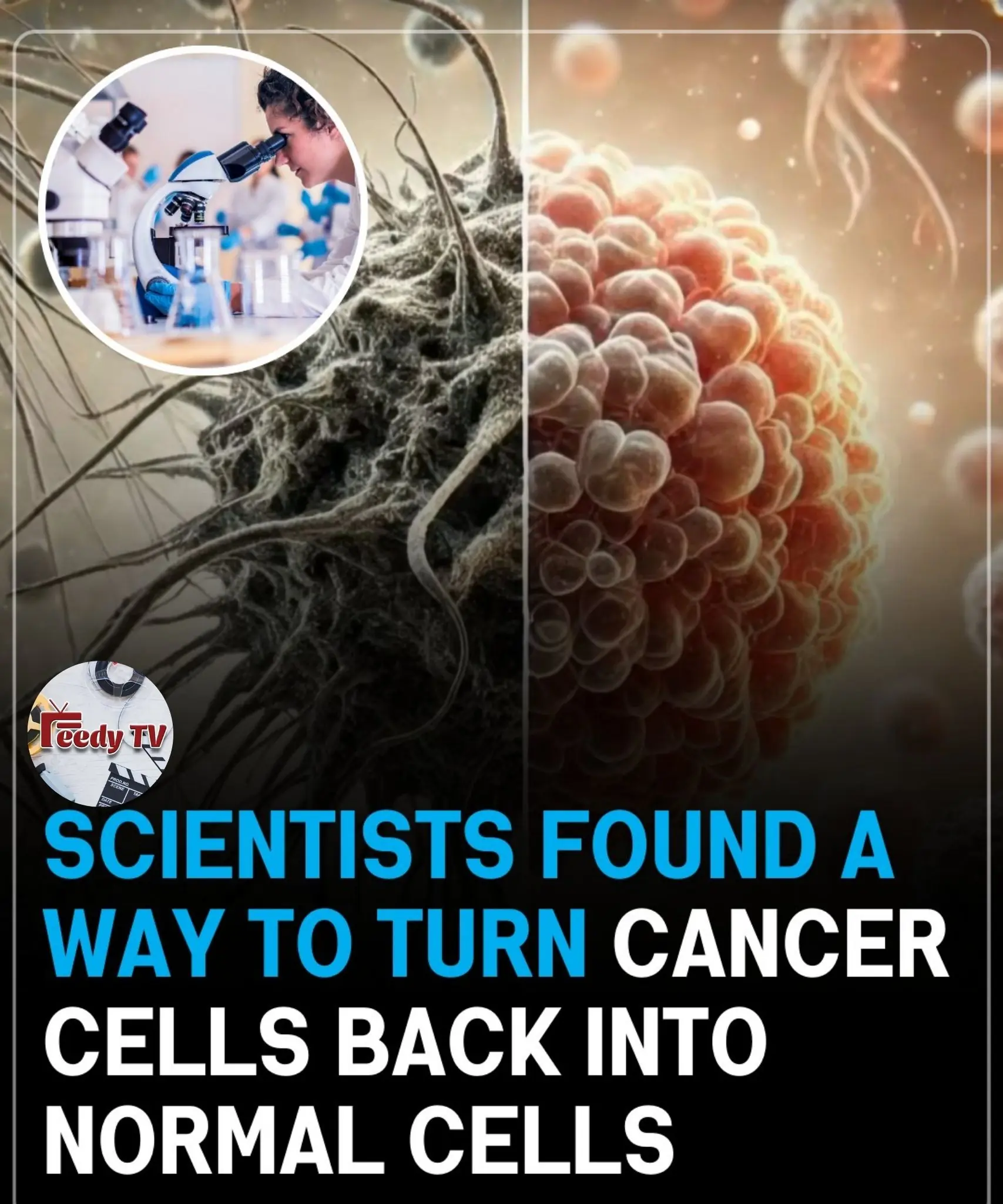 Korean Researchers Discover a “Reset” Button for Cancer: Tumor Cells Revert to Normal