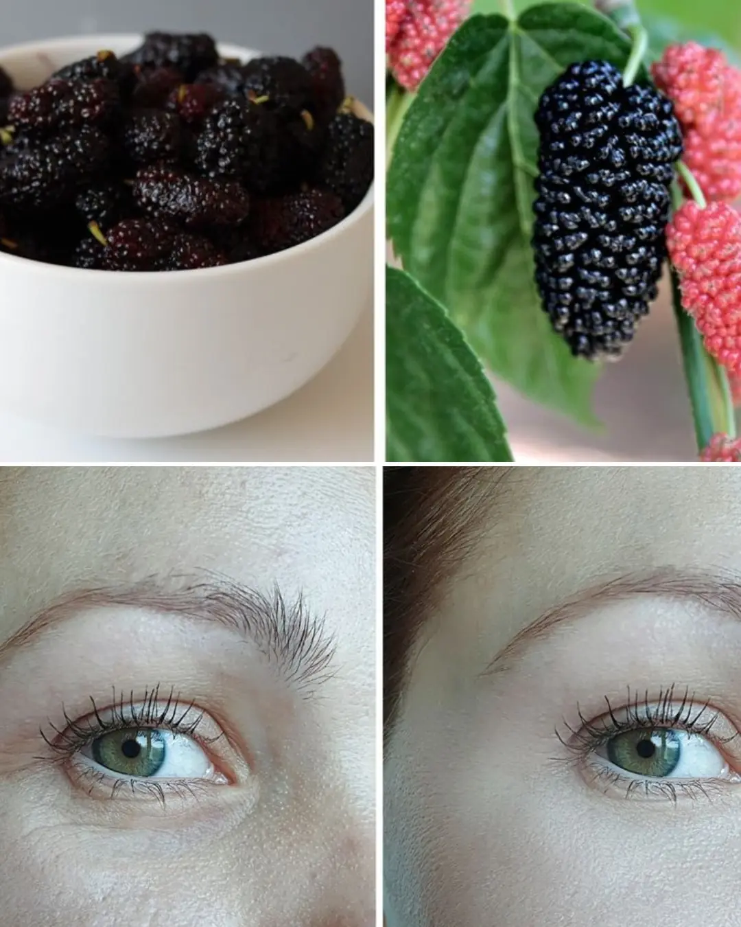 How Mulberries For Skin Routine Can Transform Your Beauty Inside and Out