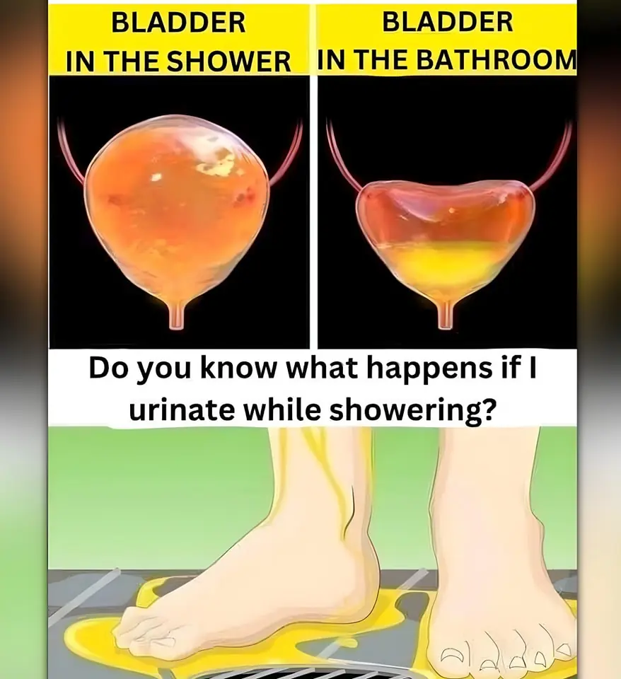 Peeing in the Shower, Doctor Explains Why Women Shouldn’t