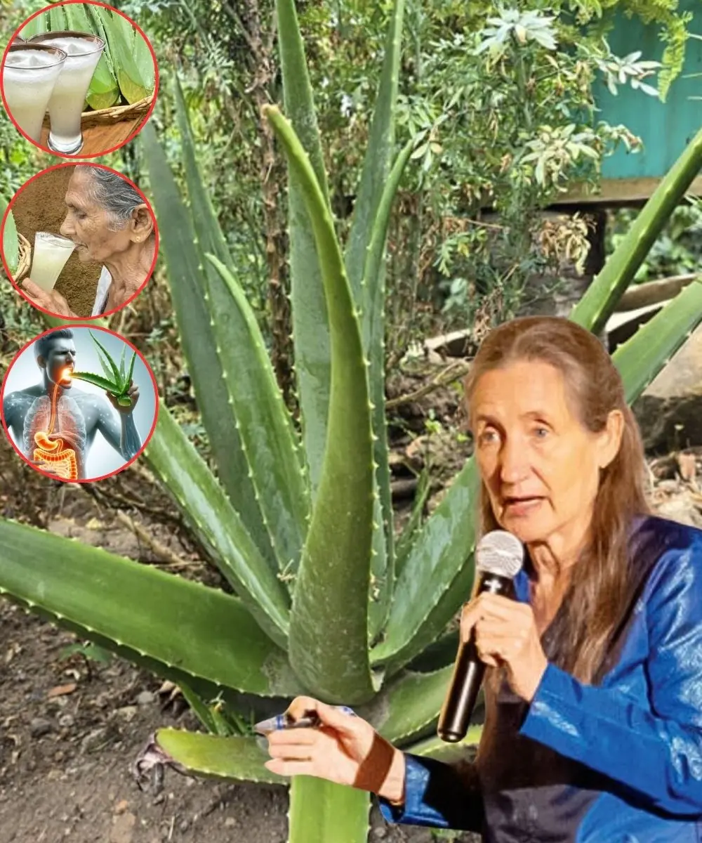 11 Amazing Reasons to Drink Aloe Vera Water Every Day 🌿