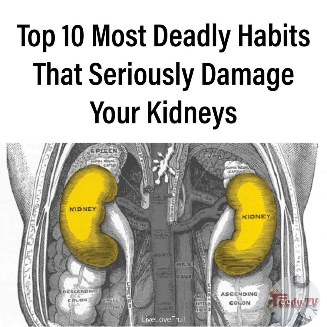 Top 10 Most Deadly Habits That Seriously Damage Your Kidneys