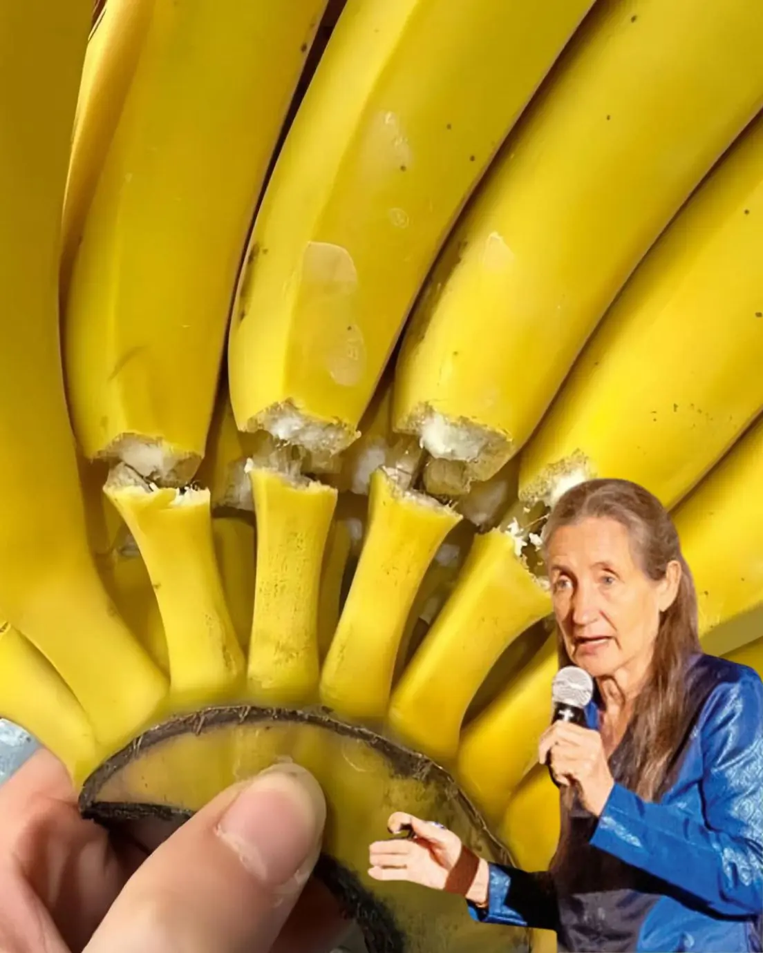 6 Facts You Need to Know About Bananas for Your Health