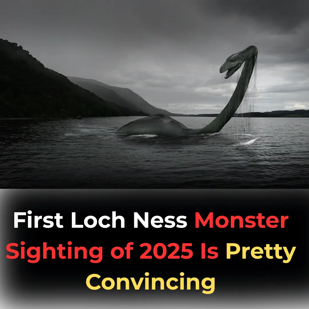 First Loch Ness Monster Sighting of 2025 Is Pretty Convincing