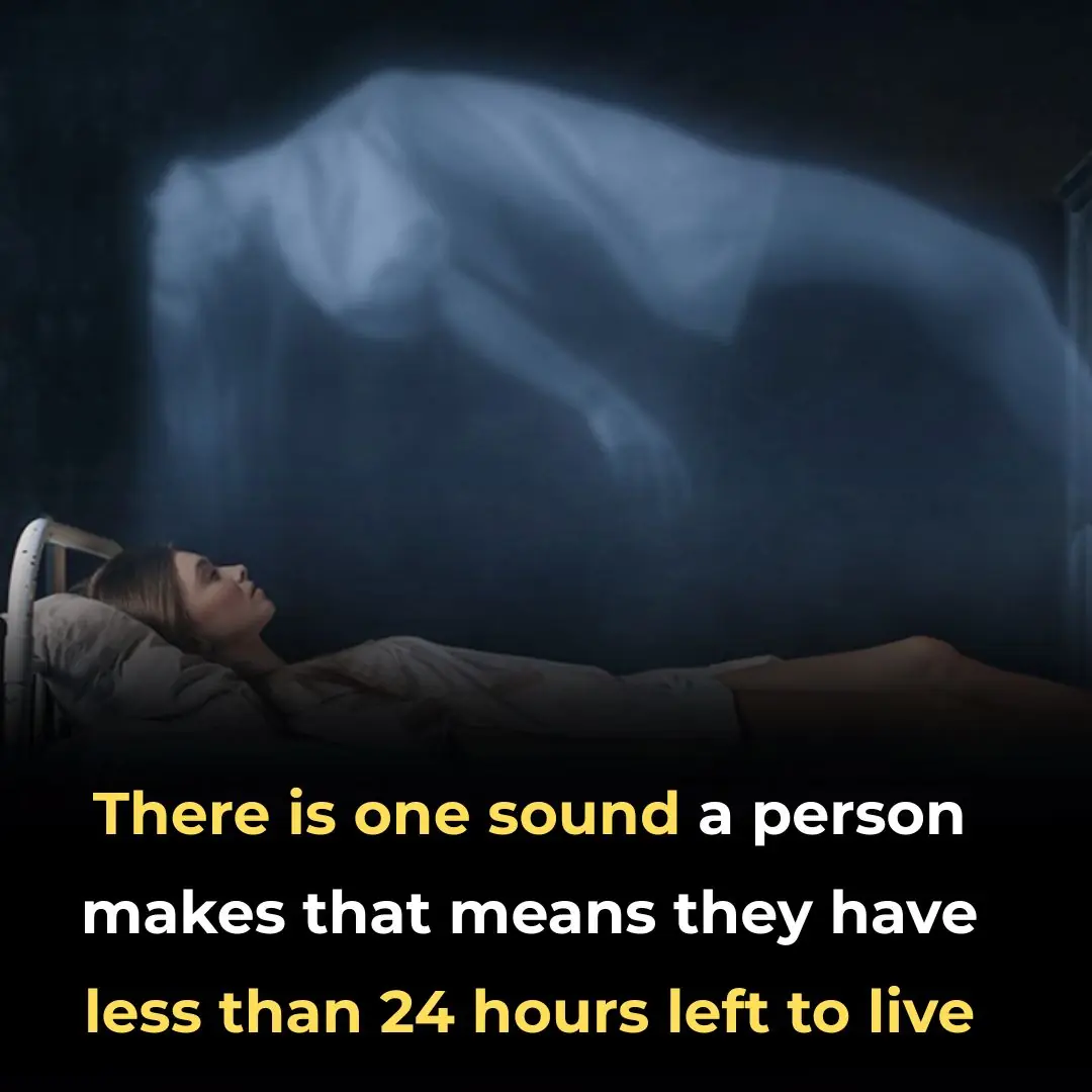 When a Person Has Less Than 24h Left To Live, They Could Make This Sound