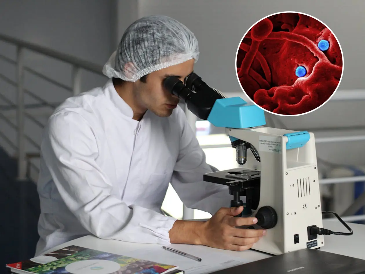 D3adly Airborne Fungus Threatens Five U.S. States: Scientists Warn of ...