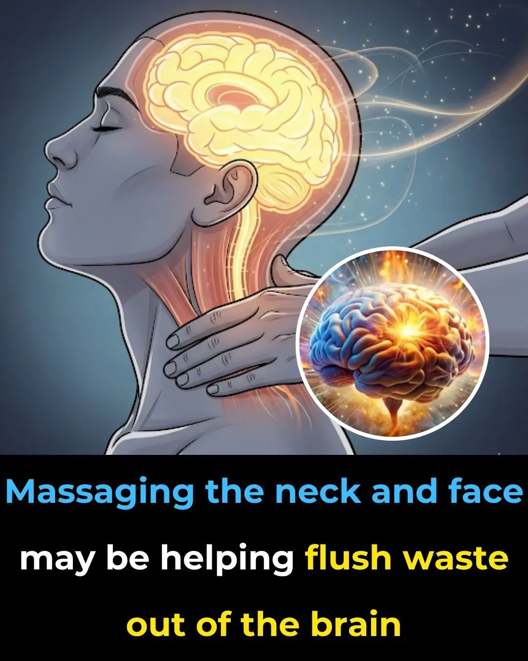 Massaging The Neck And Face May Be Helping Flush Waste Out of the Brain