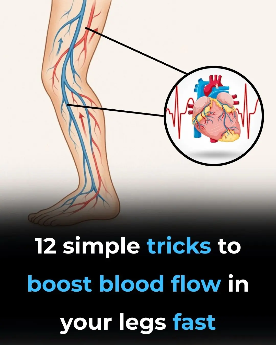 Top 12 ways to quickly improve blood circulation in legs
