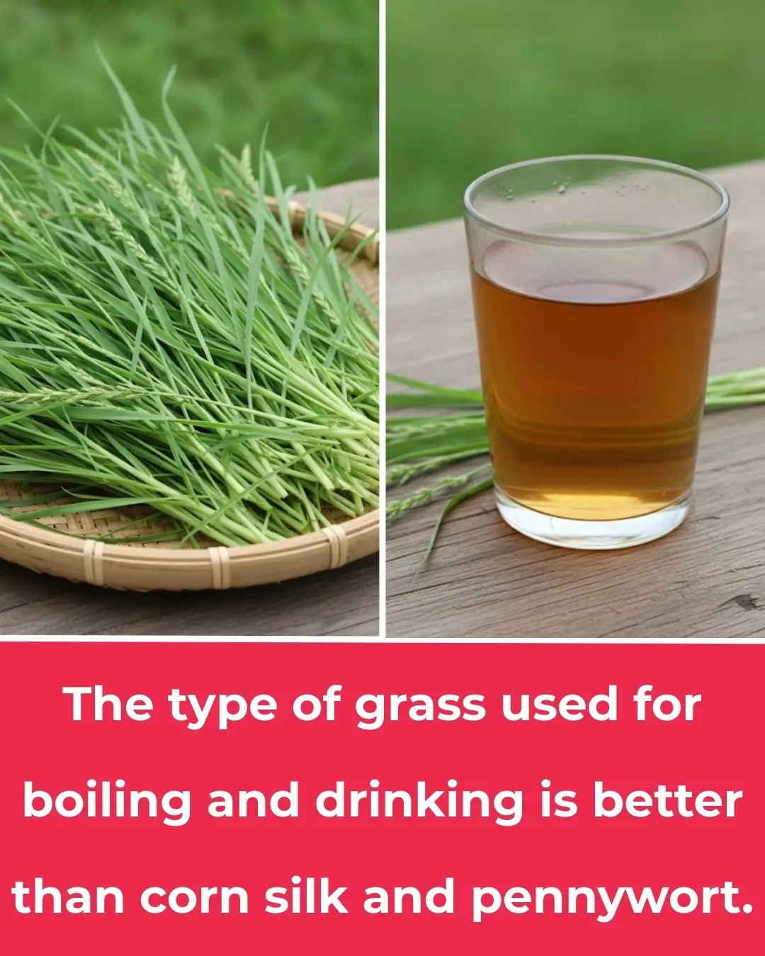 The type of grass used for boiling and drinking is better than corn ...