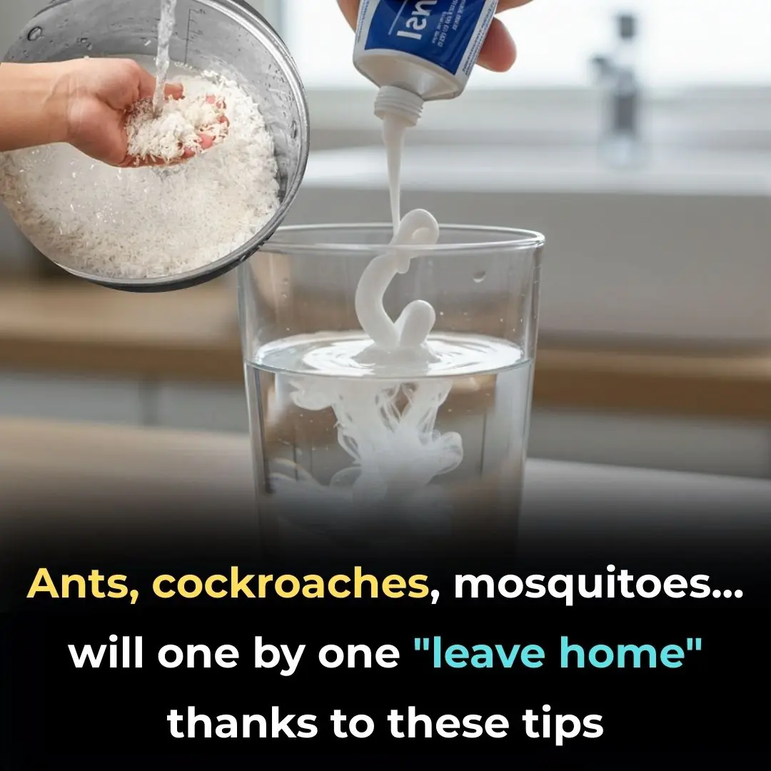 Mix toothpaste with rice water: Great effect, solves problems both men ...