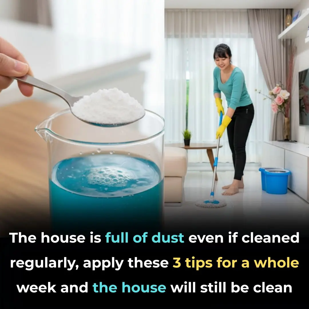The house is full of dust even if cleaned regularly, apply these 3 tips ...