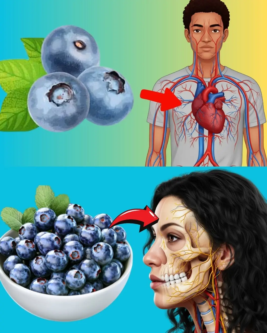 Here’s What Eating Blueberries Every Day Does to Your Body