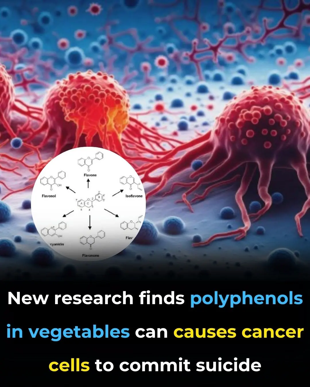 New Research Finds Polyphenols in Vegetables Can Cause Cancer Cells to ...
