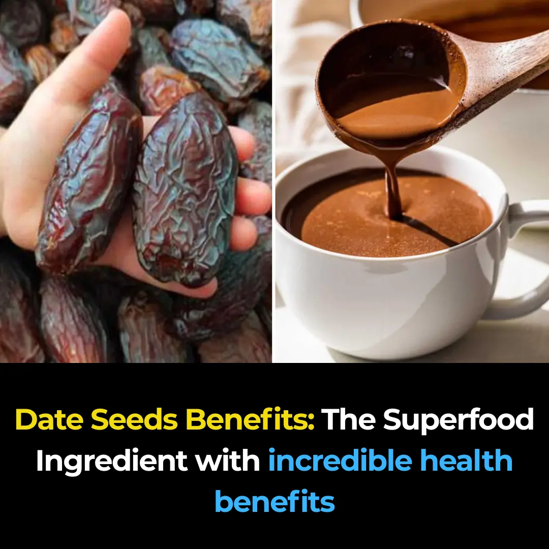 Date Seeds Benefits: The Superfood Ingredient with incredible health ...