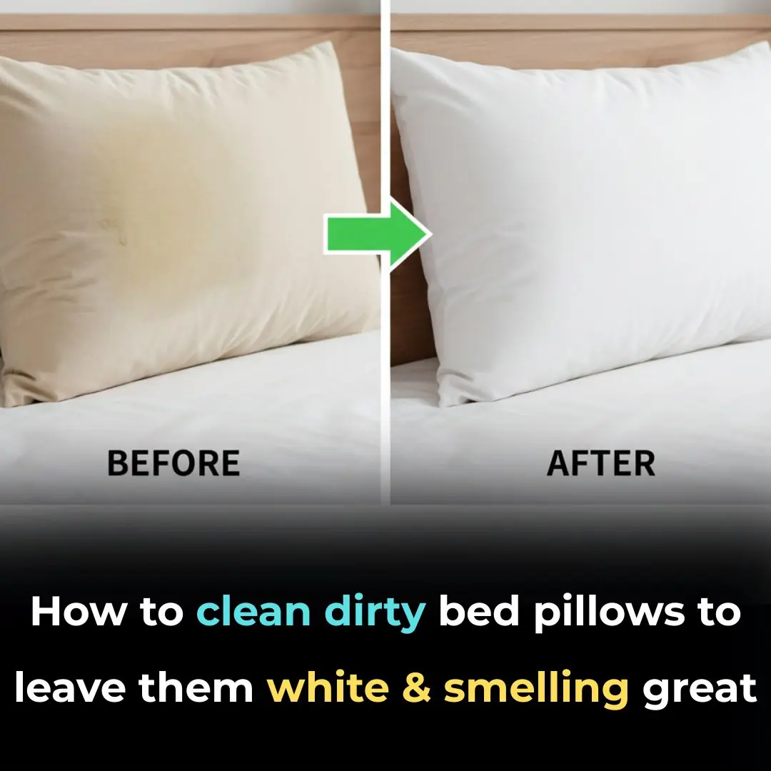 How To Clean Dirty Bed Pillows