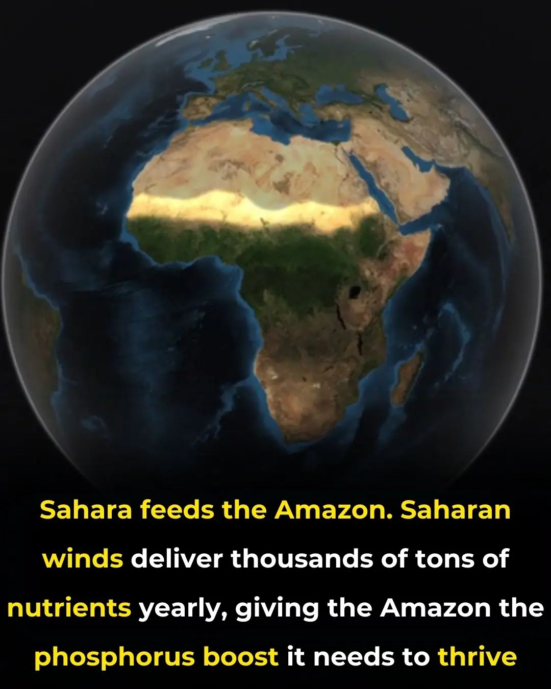 How Sahara Dust Feeds the Amazon Rainforest