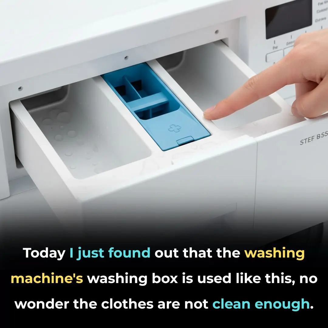 Today I just found out that the washing machine's washing box is used ...
