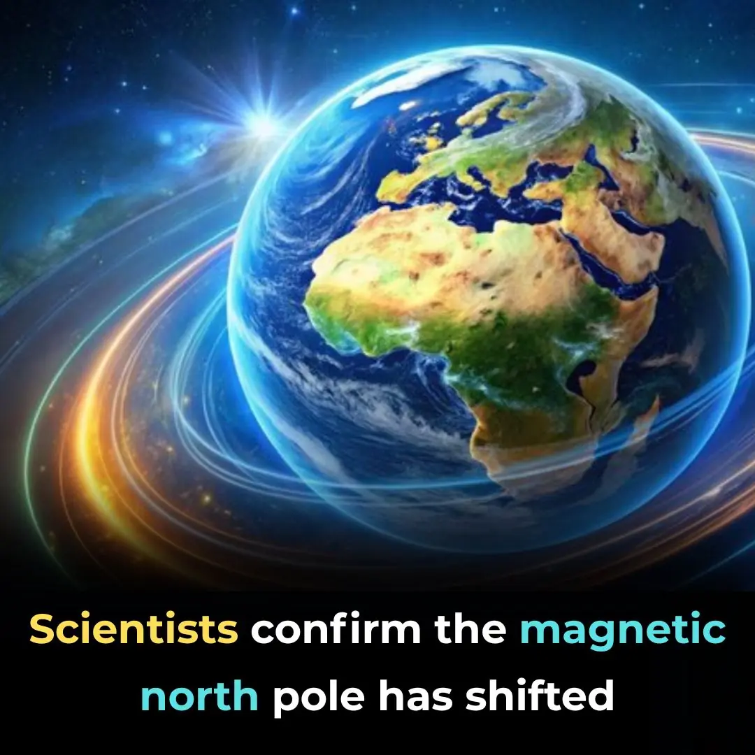 Scientists Confirm the Magnetic North Pole Has Shifted