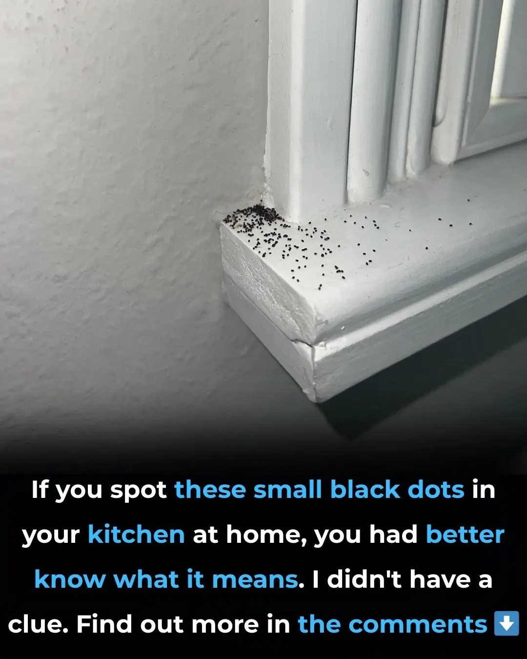 What Are These Strange Black Dots In Your Kitchen