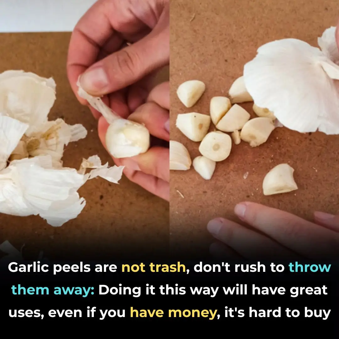 Garlic peels are not trash, don't rush to throw them away: Doing it ...