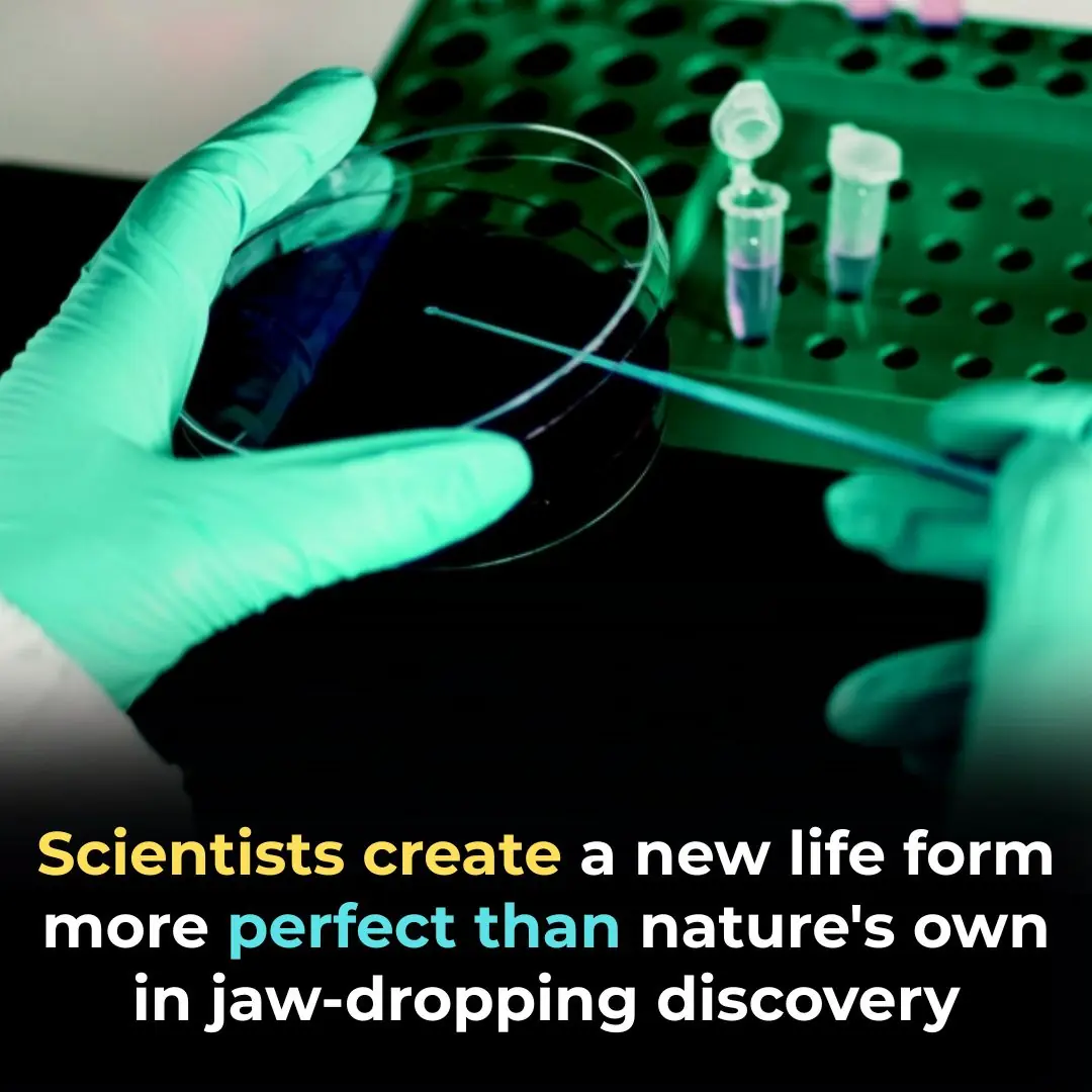 Scientists create a new life form more perfect than nature's own in jaw ...