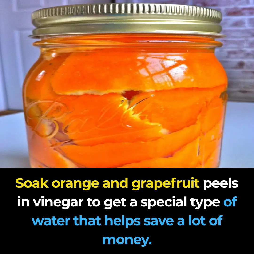 Soak orange peel and grapefruit peel in vinegar to create a special ...