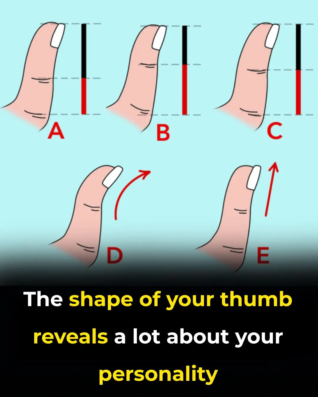 The Secrets Your Thumb Shape Reveals