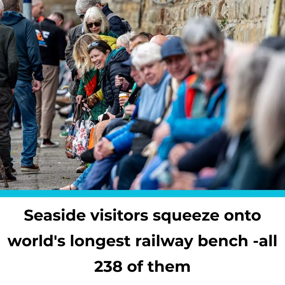Seaside town visitors squeeze onto world's longest railway bench - all ...