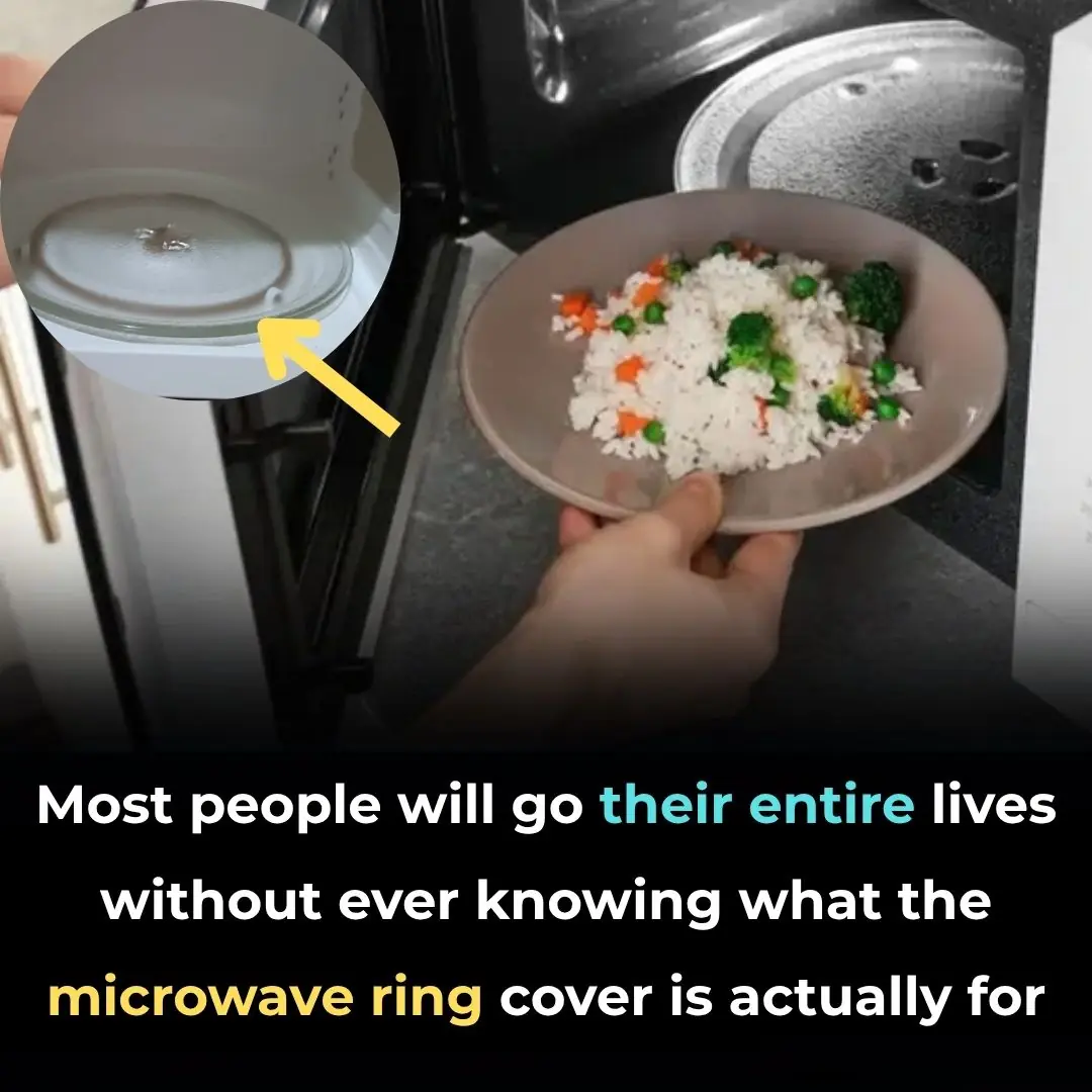 Most people will go their entire lives without ever knowing what the ...