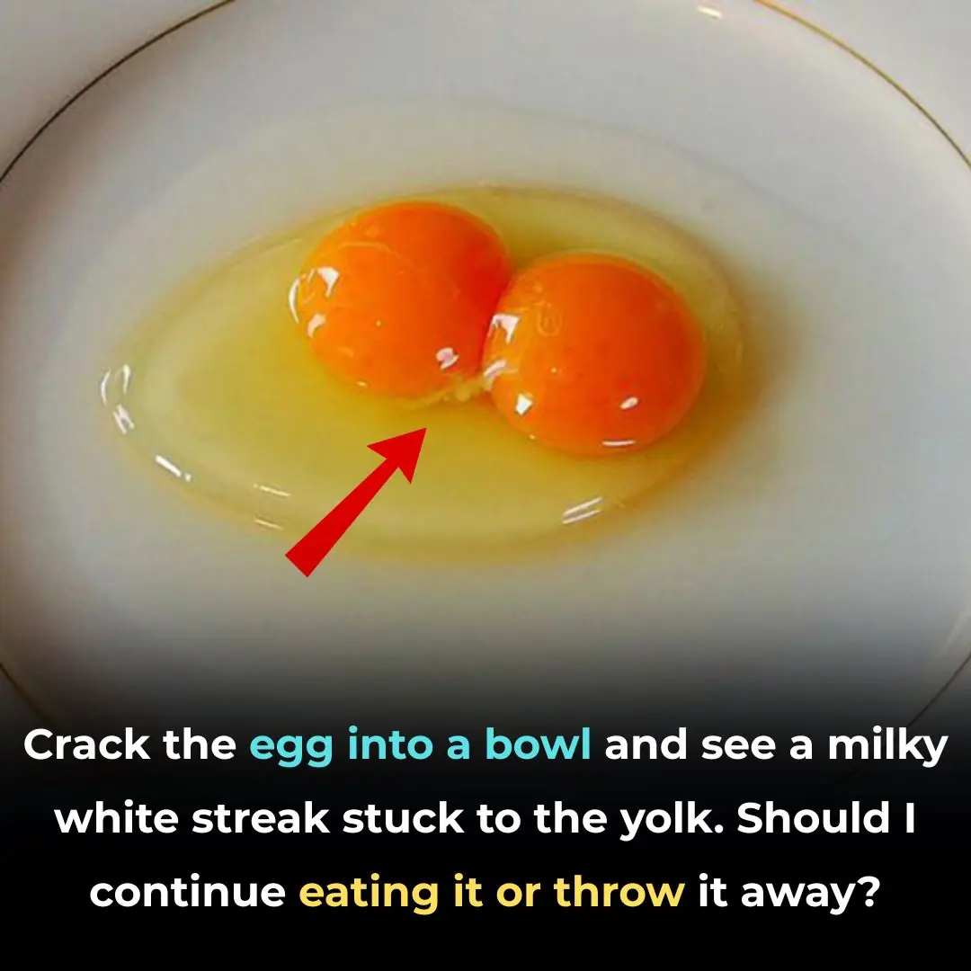 Crack the egg into a bowl and see a milky white streak stuck to the ...
