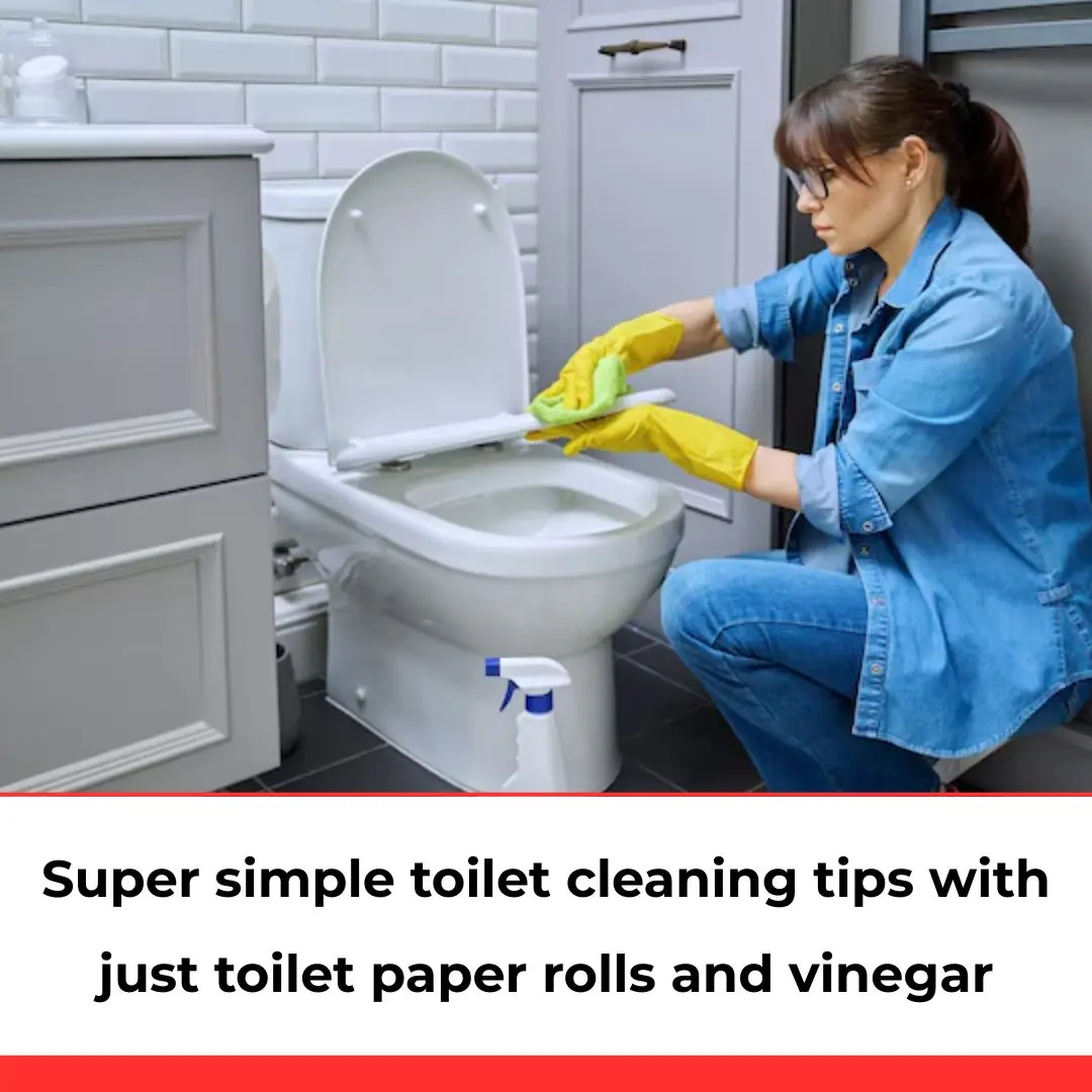 Super simple toilet cleaning tips with just toilet paper rolls and vinegar