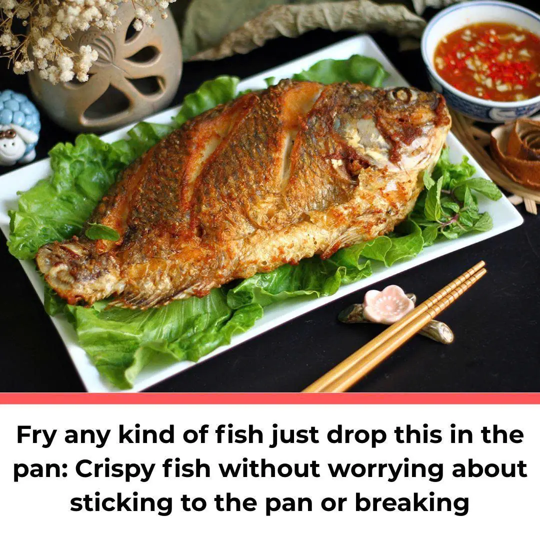 Fry any kind of fish just drop this in the pan: Crispy fish without ...