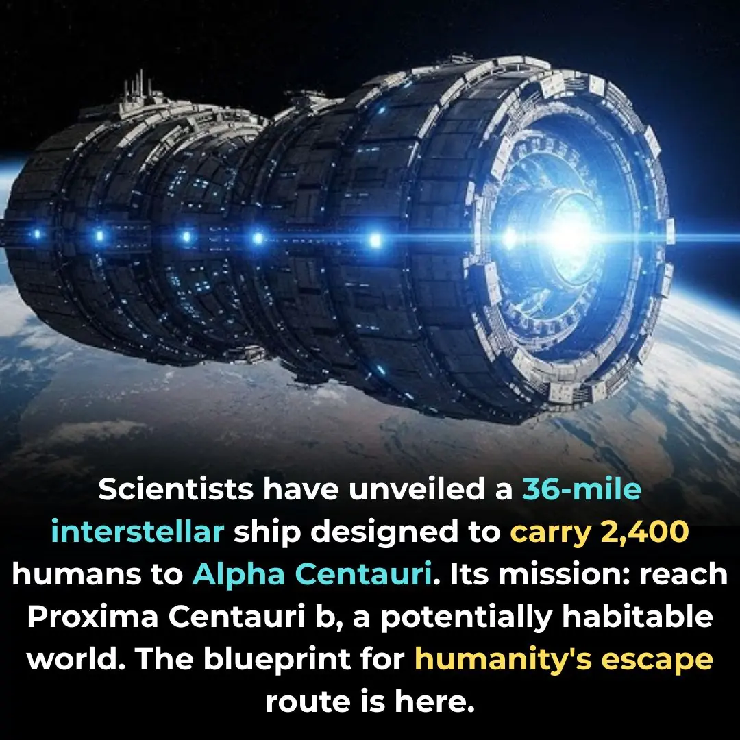 From Earth to Proxima Centauri: The Starship That Could Carry ...