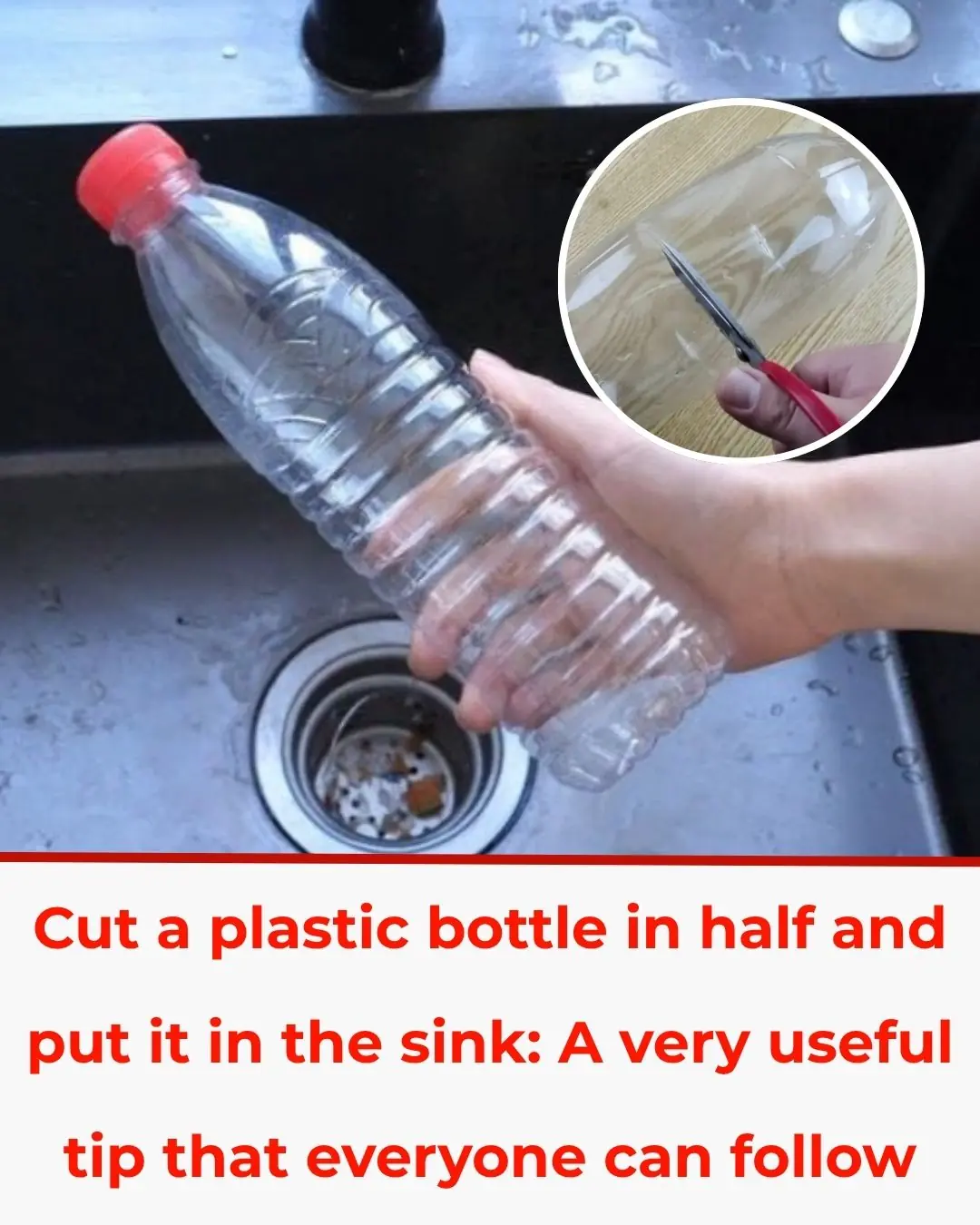 Cut a plastic bottle in half and put it in the sink: A very useful tip ...