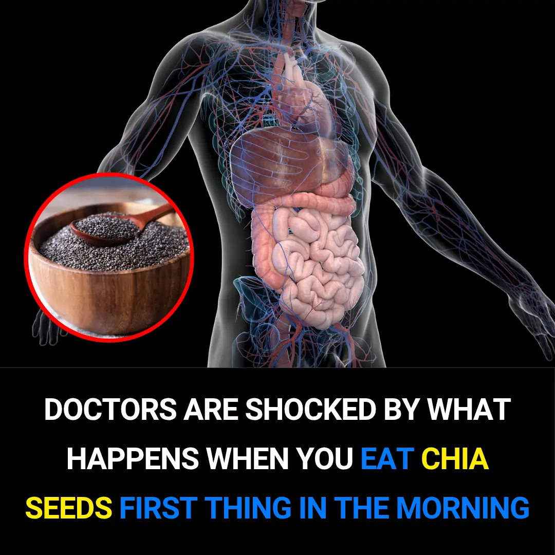 Chia Seeds: Science-Backed Benefits, Nutrition Facts, and Why They're a ...