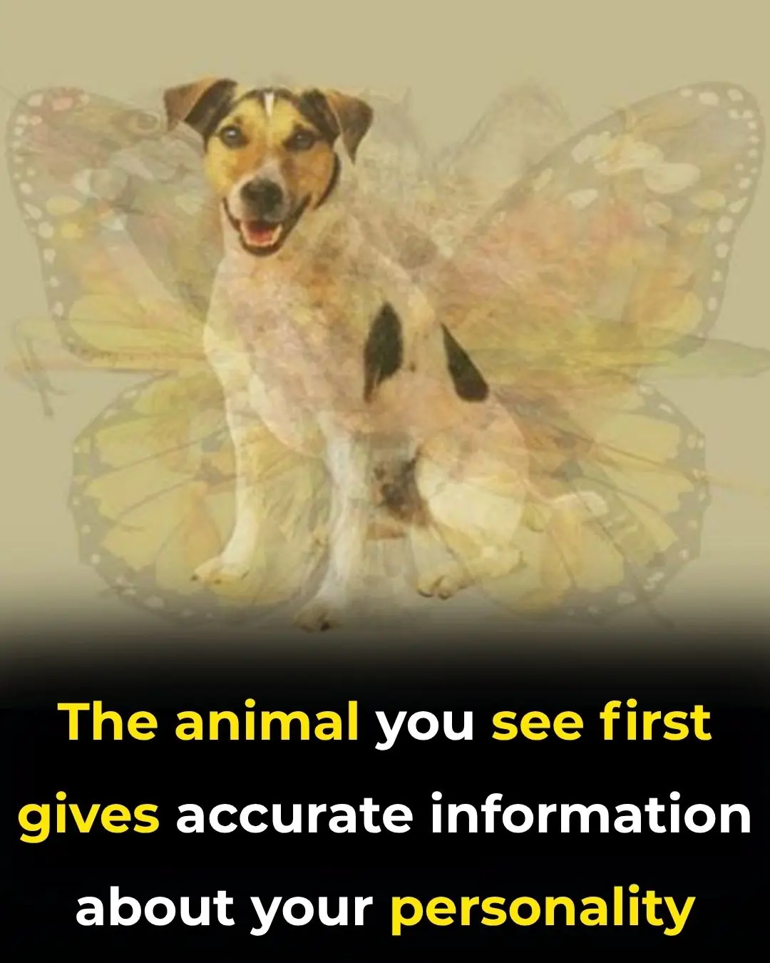 The Animal You See First Gives Accurate Information About Your Personality