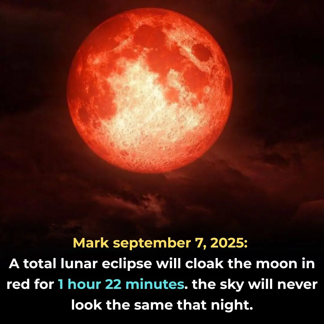 Earth’s Shadow, Moon’s Glow: The Total Lunar Eclipse of 2025