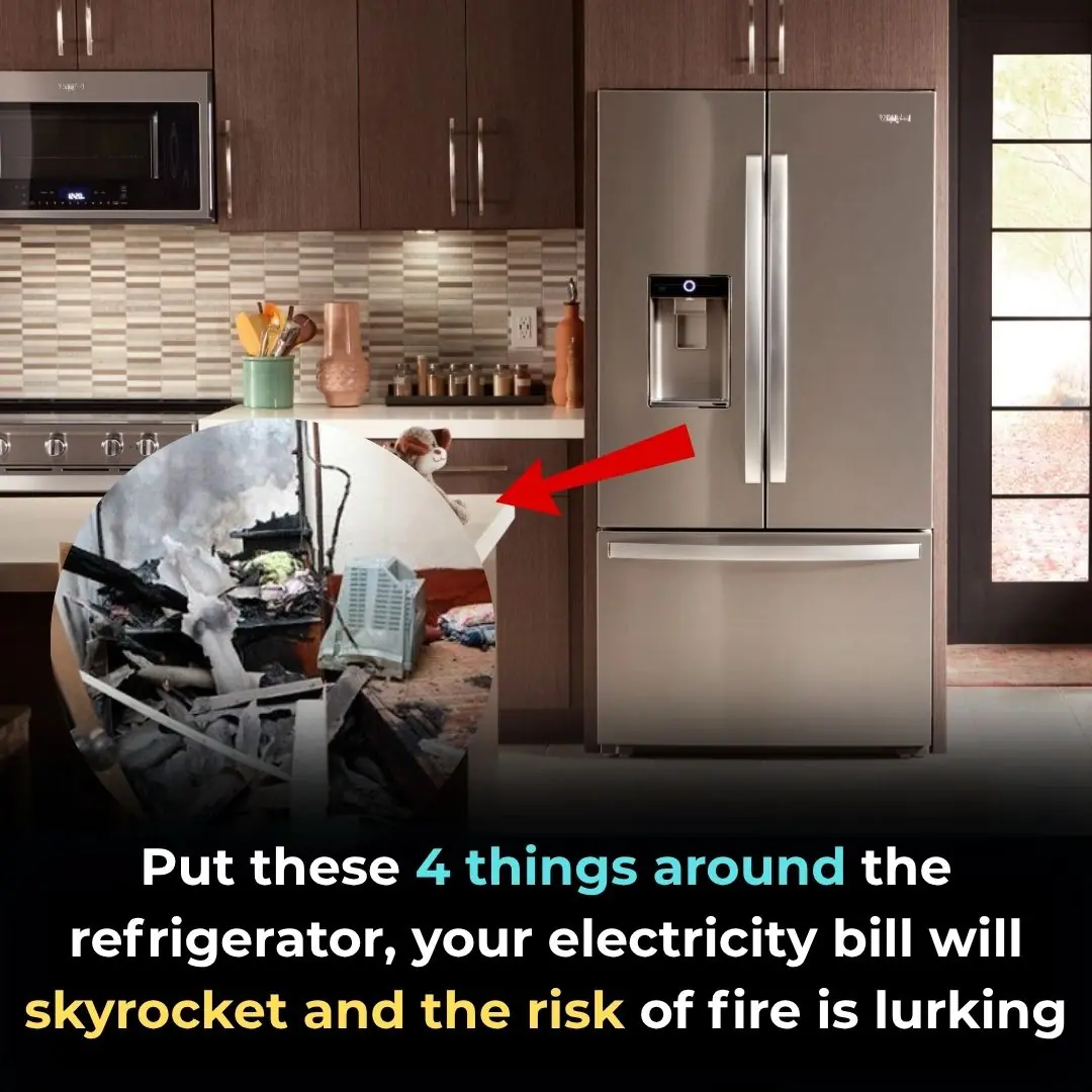 Put these 4 things around the refrigerator, your electricity bill will ...