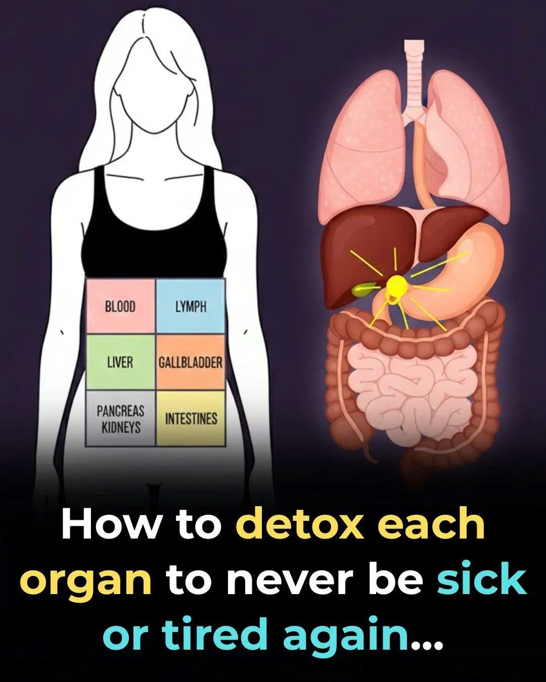 How To Detox Each Organ To Reset Your System