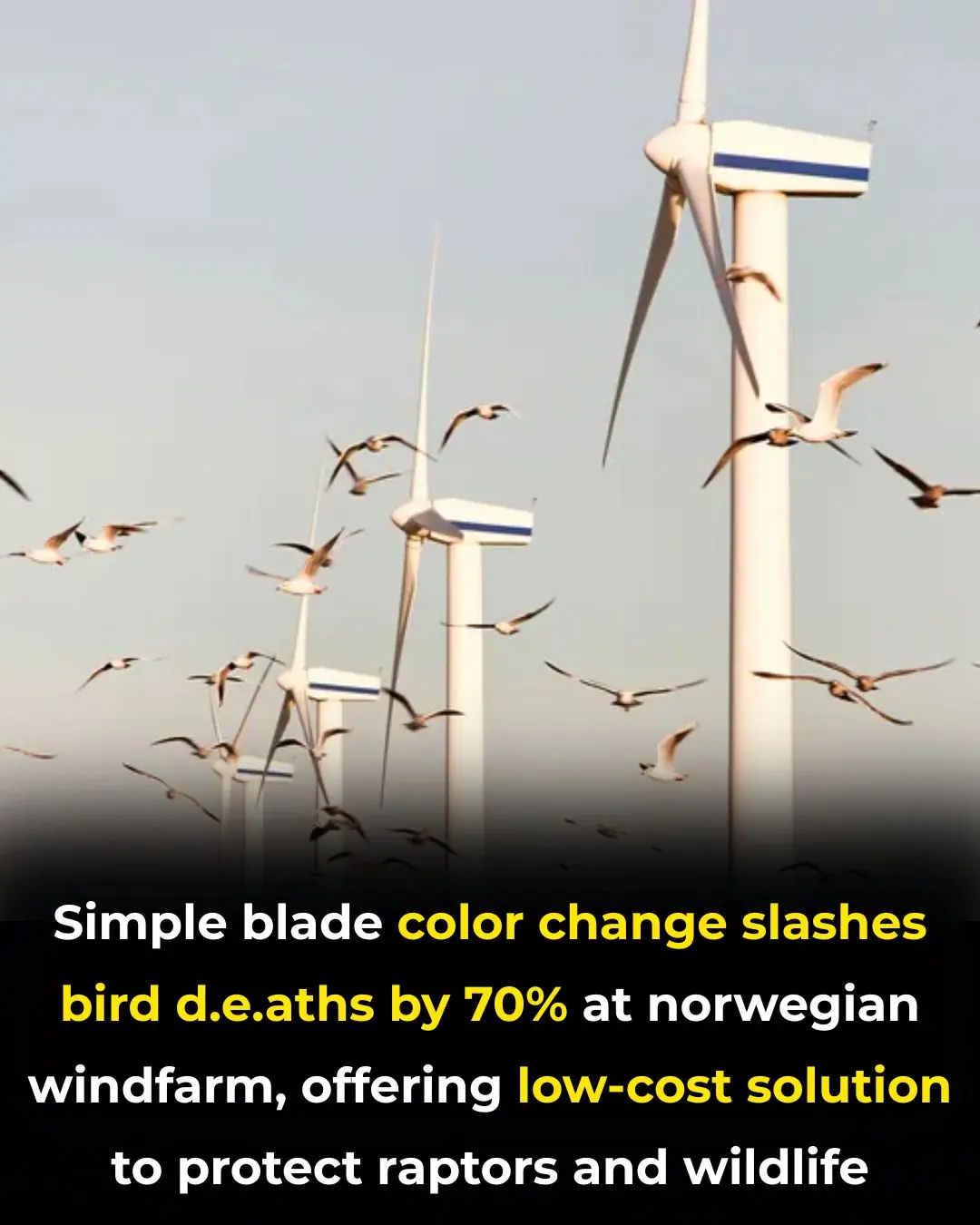 A Simple Black Blade: How a Low-Cost Wind Turbine Modification ...