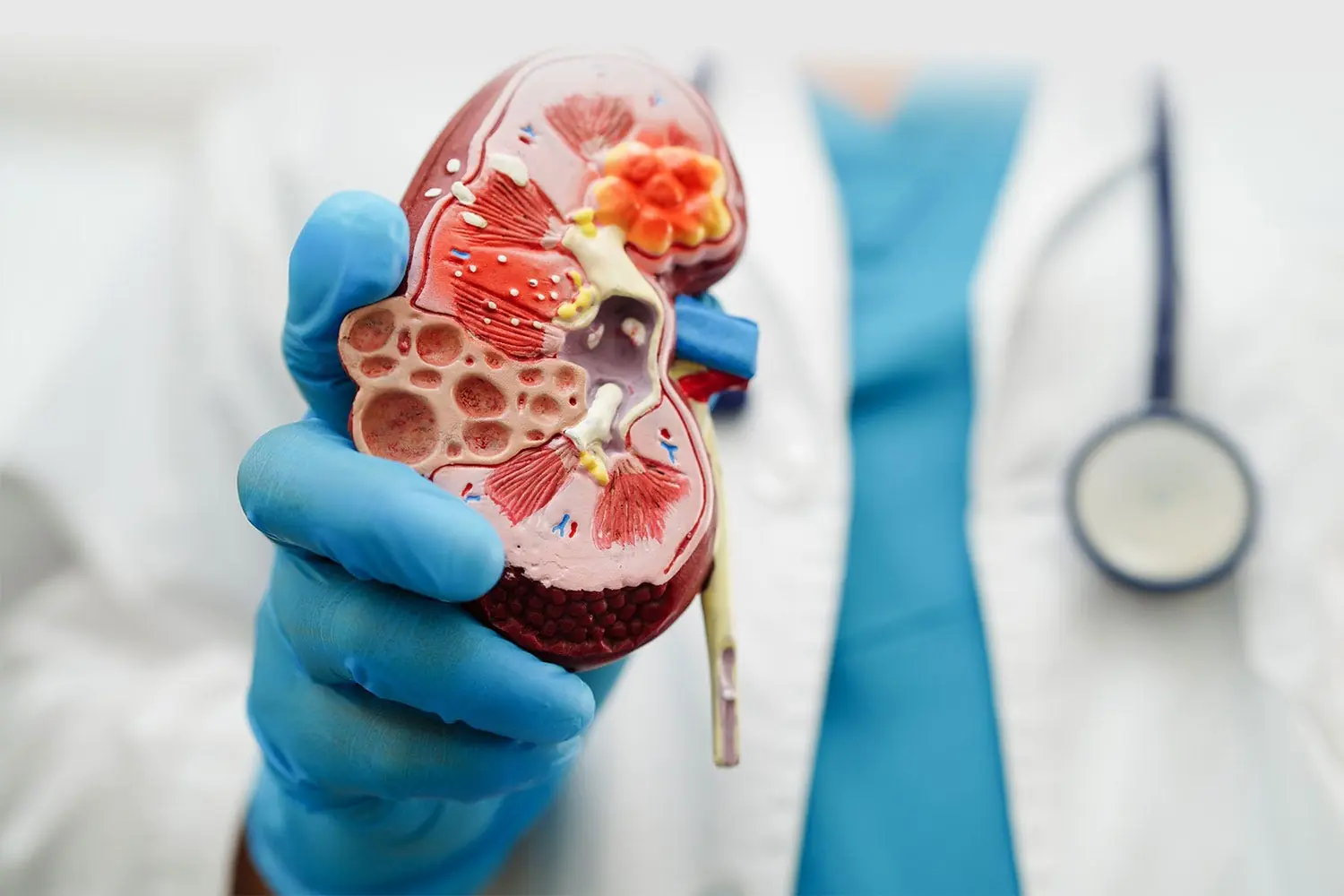 Early Warning Signs of Kidney Disease and How to Protect Them Now